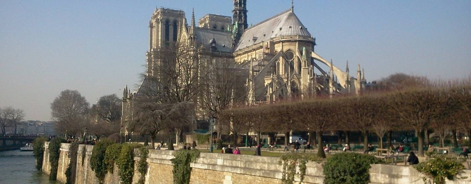 Тима и книга про внетелесный опыт