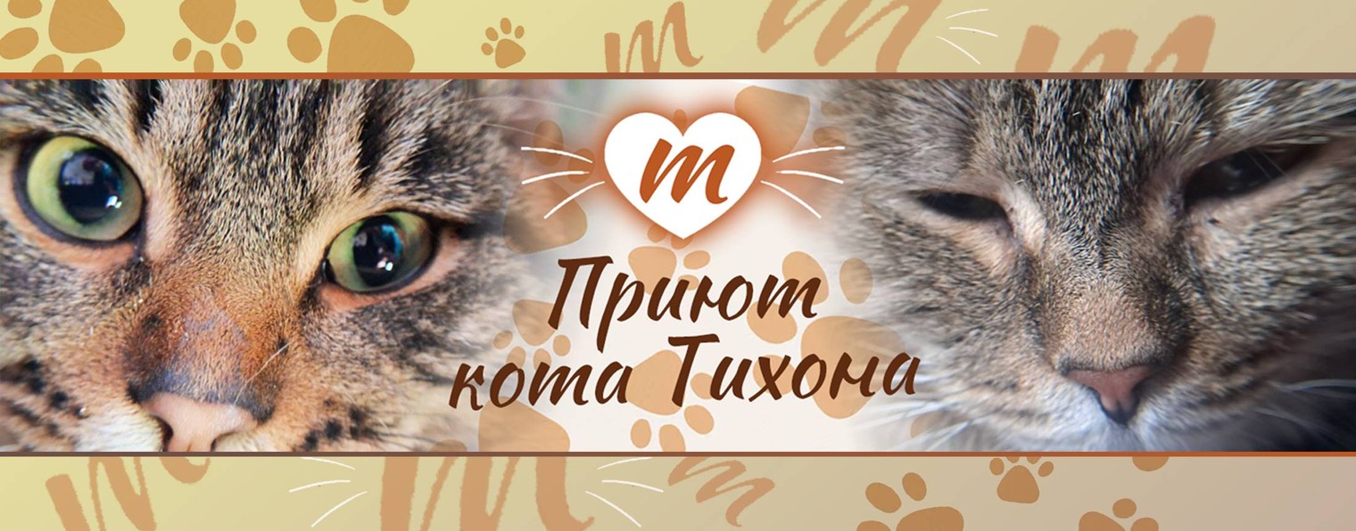 Приют  кота Тихона