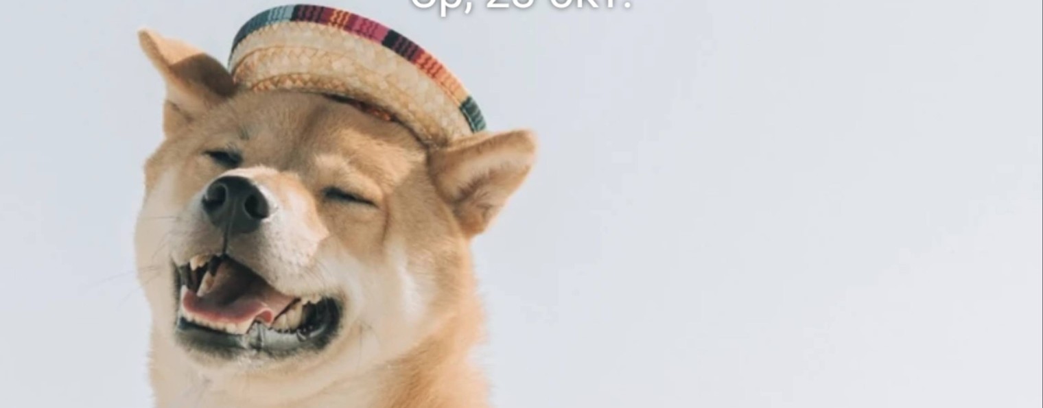 Мне херово в 3008 с пельменем