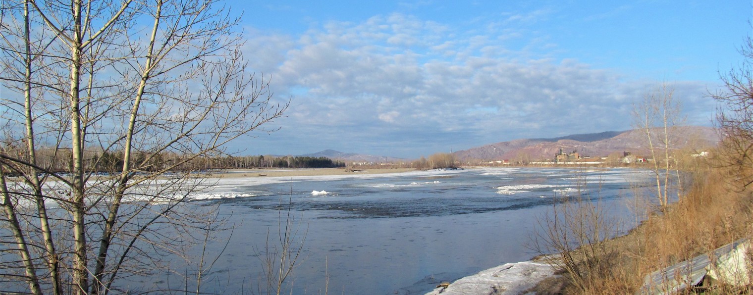 Надежда Мисюрова