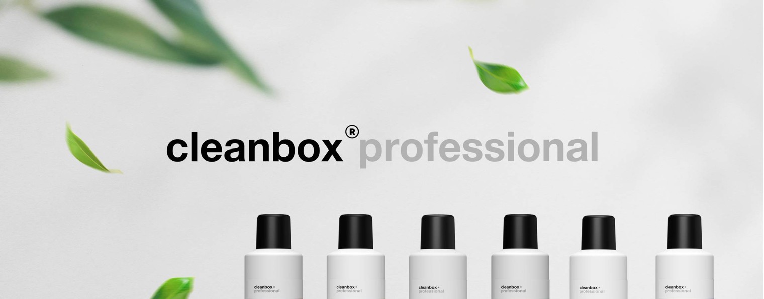 Cleanbox Professional