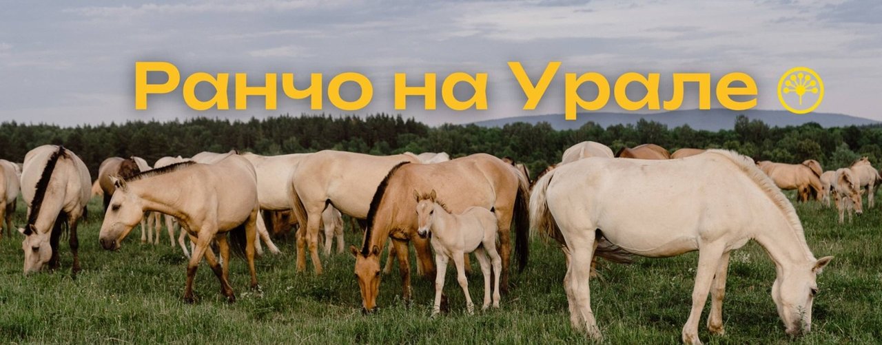 Ранчо на Урале