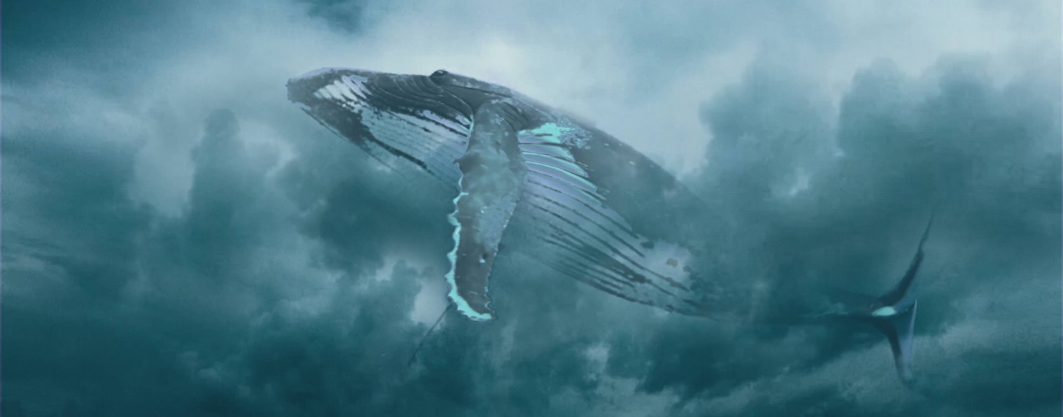 Борислав Гурин | Кинорежиссёр