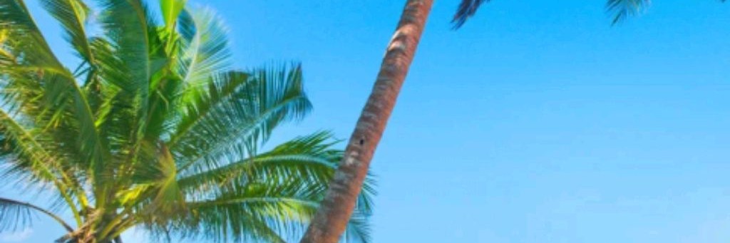 Всяко разно .