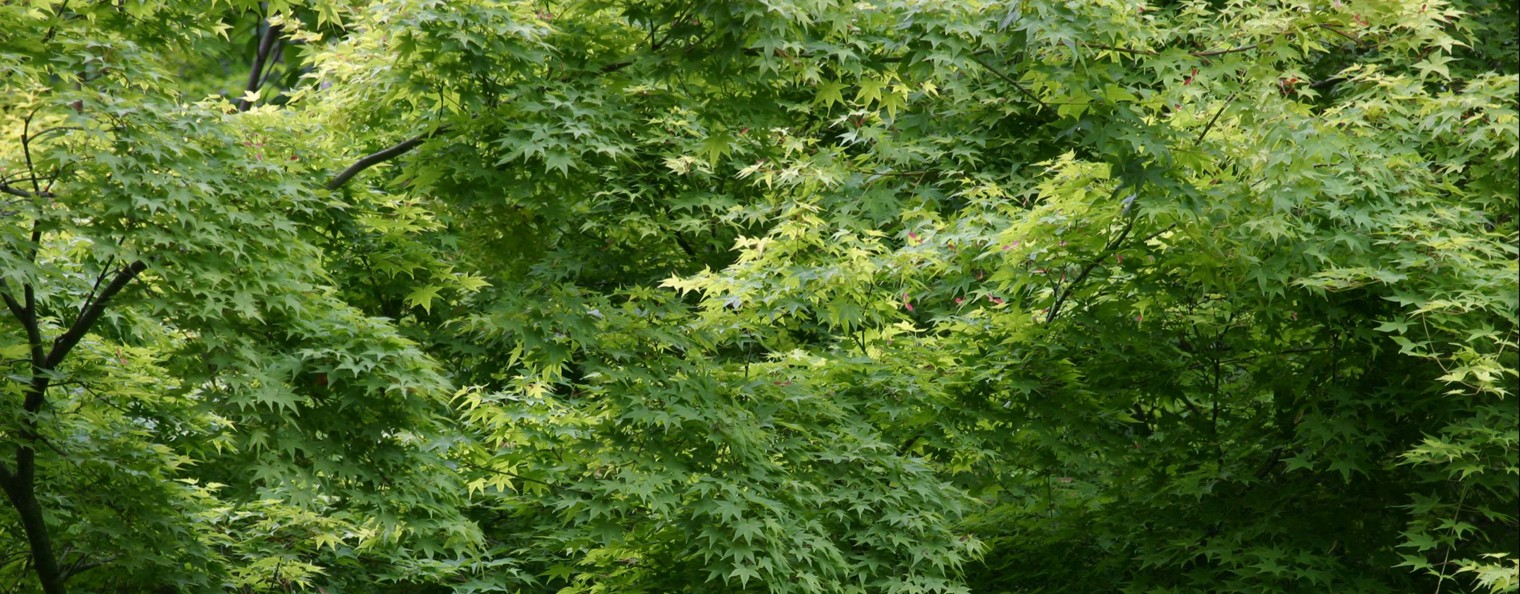 ПСИХОЛОГИЯ ДЛЯ ВСЕХ