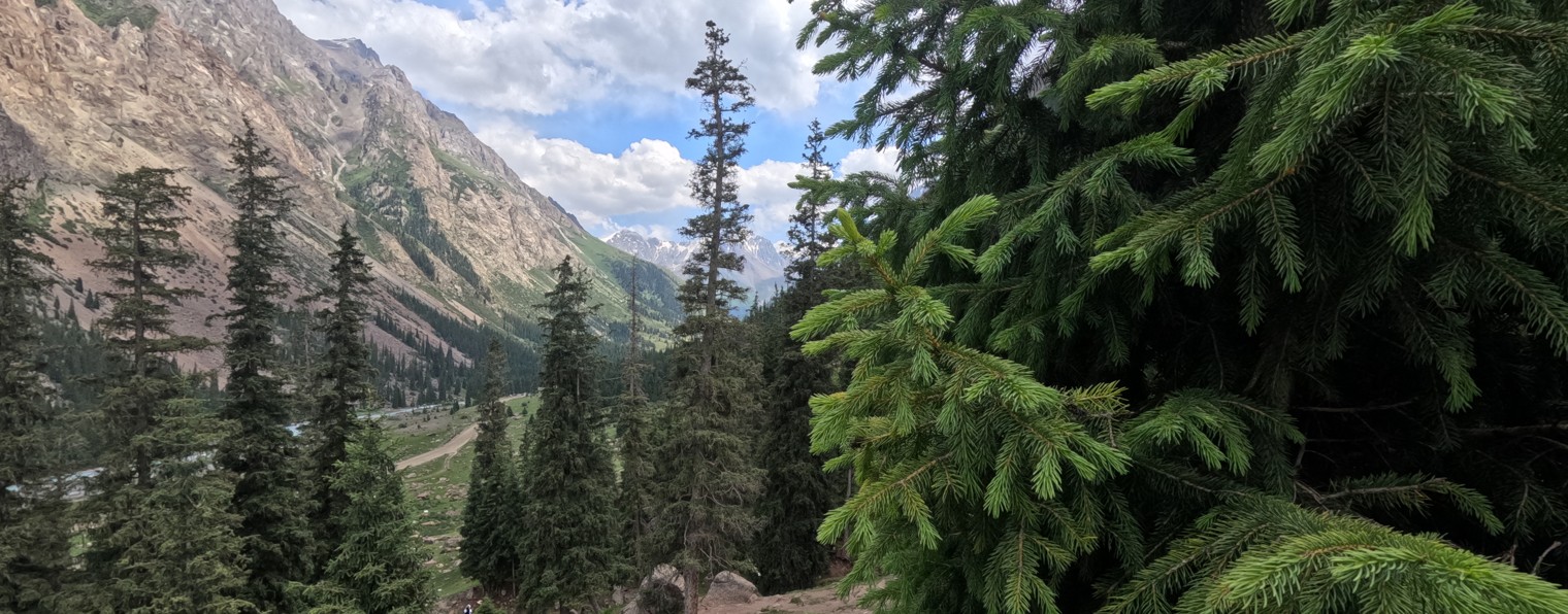 Вершины🏔️Travel