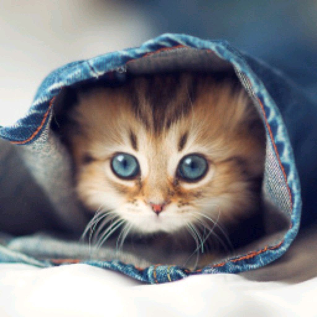 Обзоры, обучалки и так далее