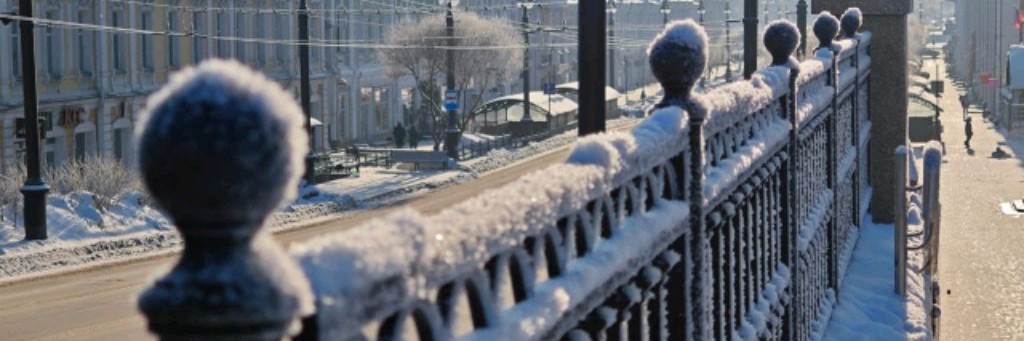 Михеева Регина Андреевна