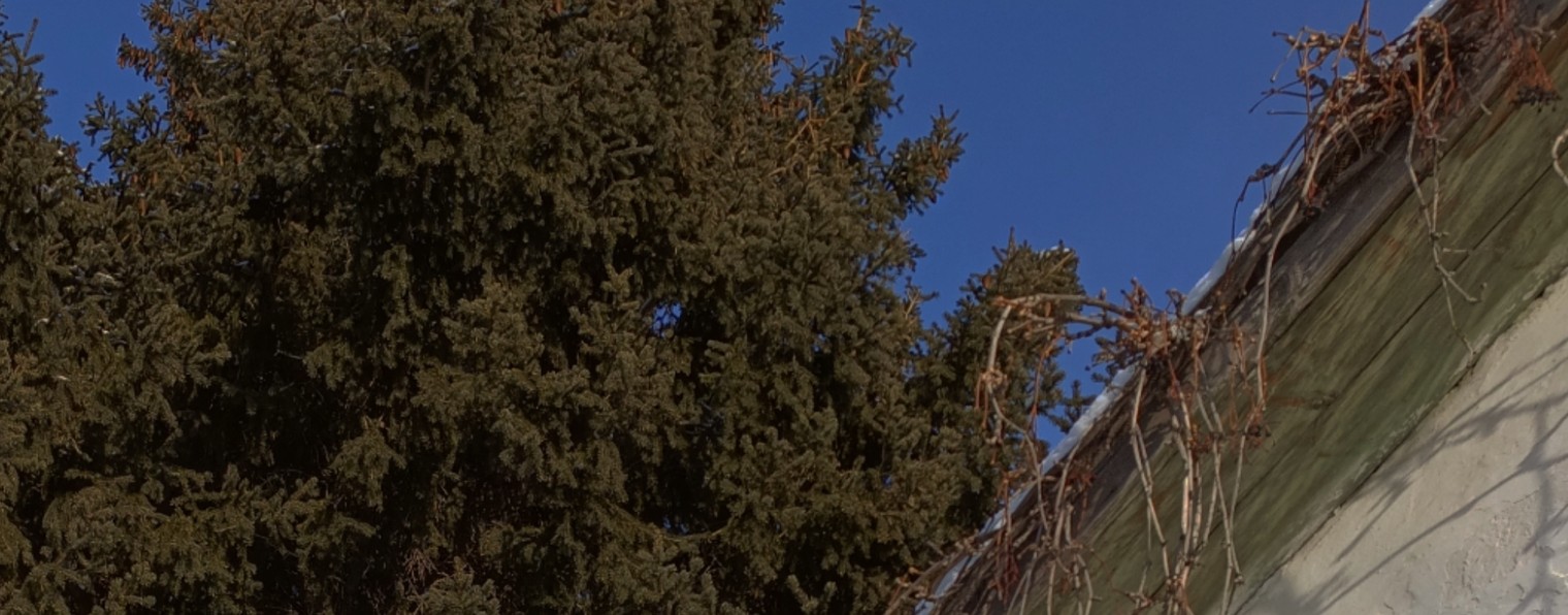 Лиза в деревне