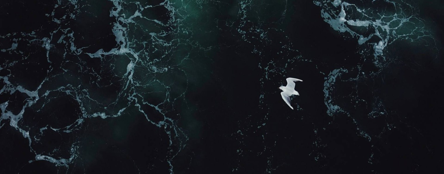 Дневник психолога