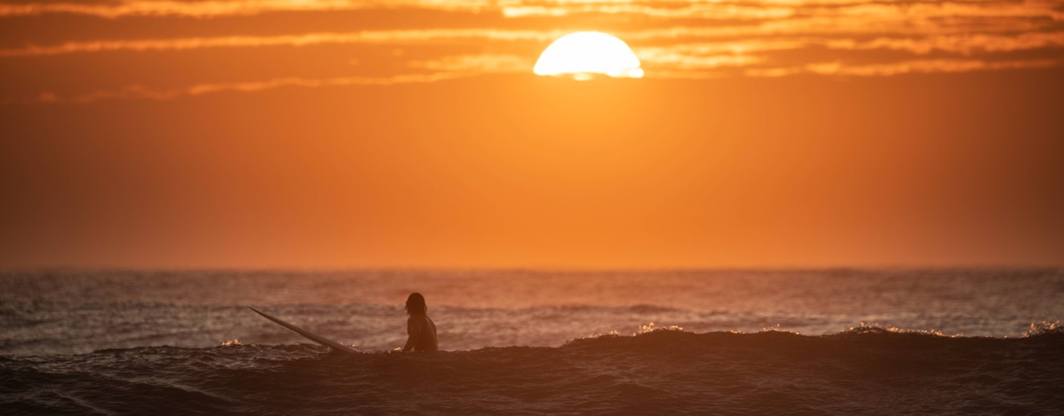 Surf Camp Swell