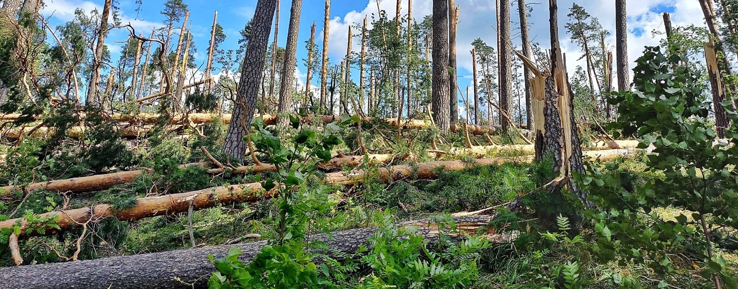 Точка зрения - Пенза