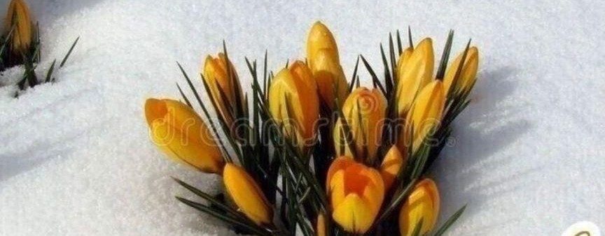 Милашка-Малышка