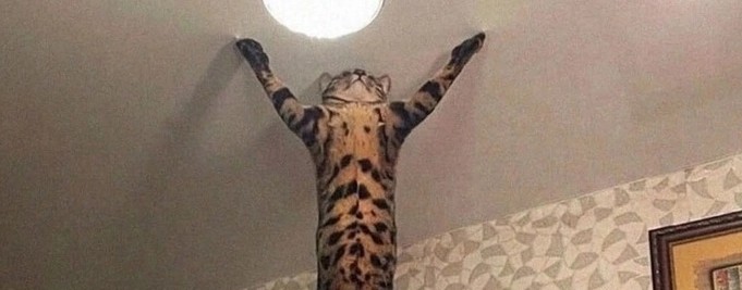 Небылицы