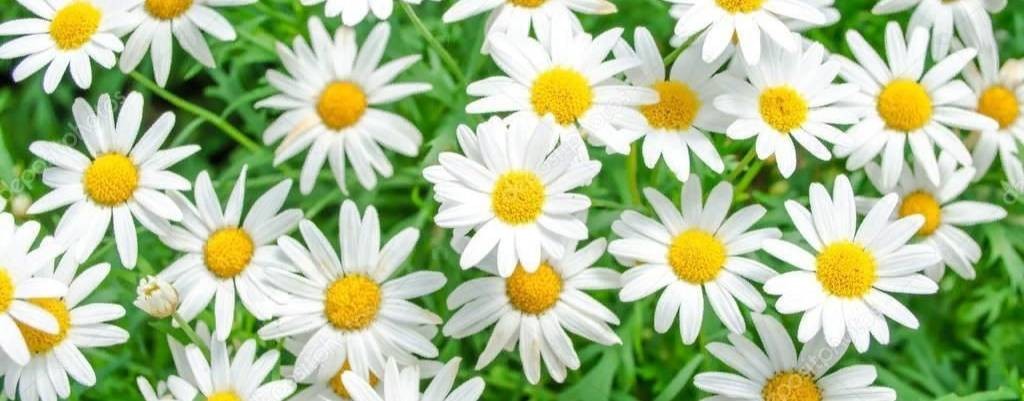 Марина Мунтян