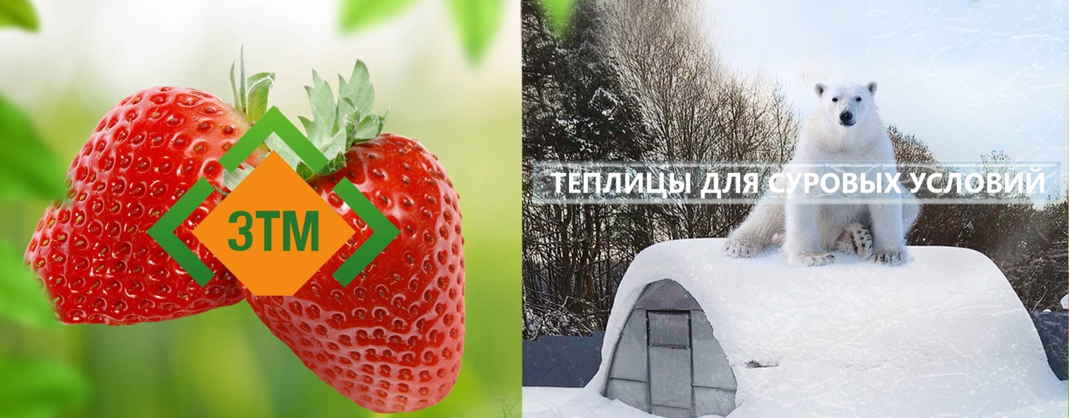 Завод теплиц и металлоконструкций