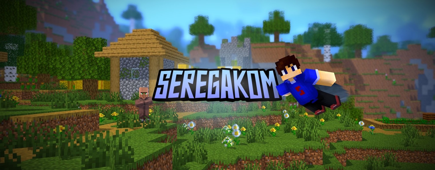 SeregaKom