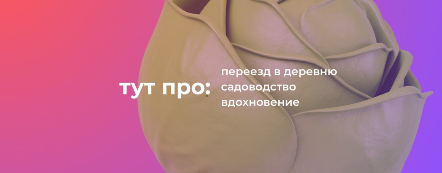 ИЗ ГОРОДА В СЕЛО