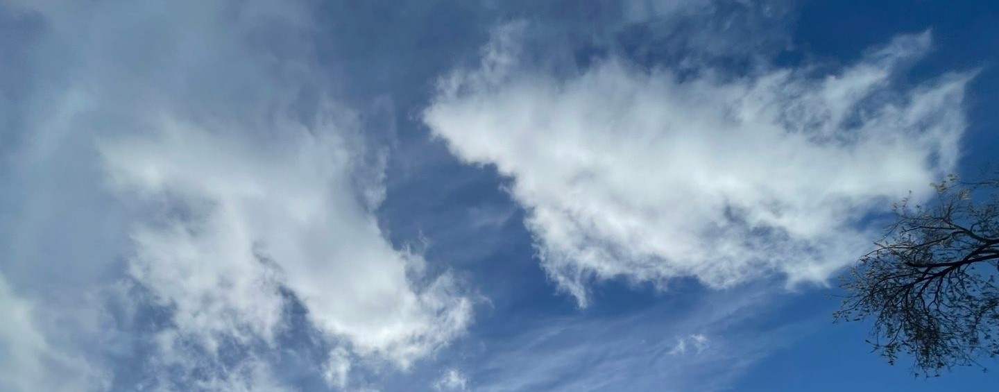 Терапия Внутри