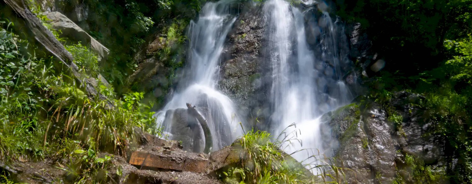 Событийное агентство "ДРУГАЯ РЕАЛЬНОСТЬ"