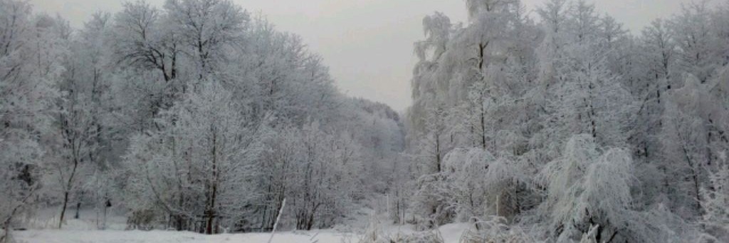 Олег Рымаренко