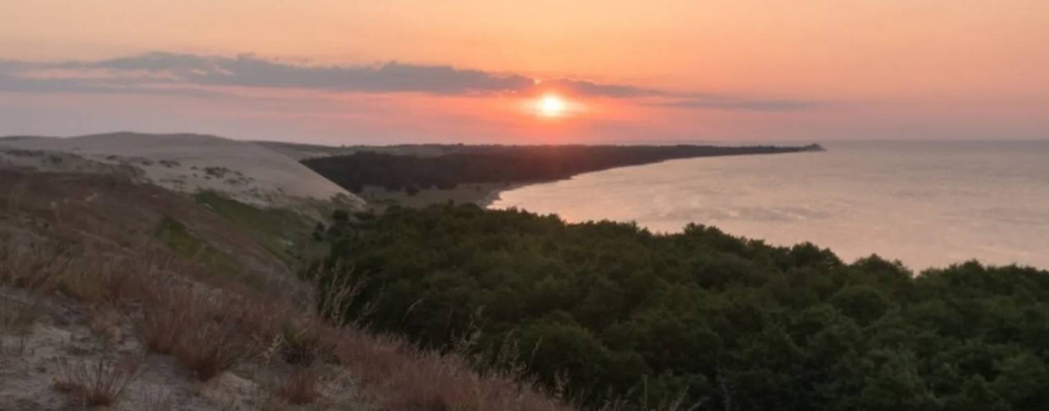 Александр Пряников