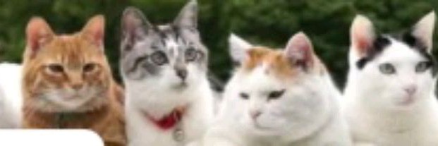 Креативити