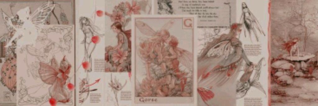 Кот Бегемот