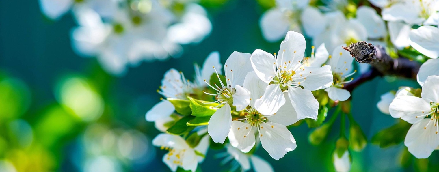 Сташкова Анна