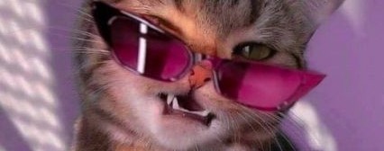 блогеры с ютуба!