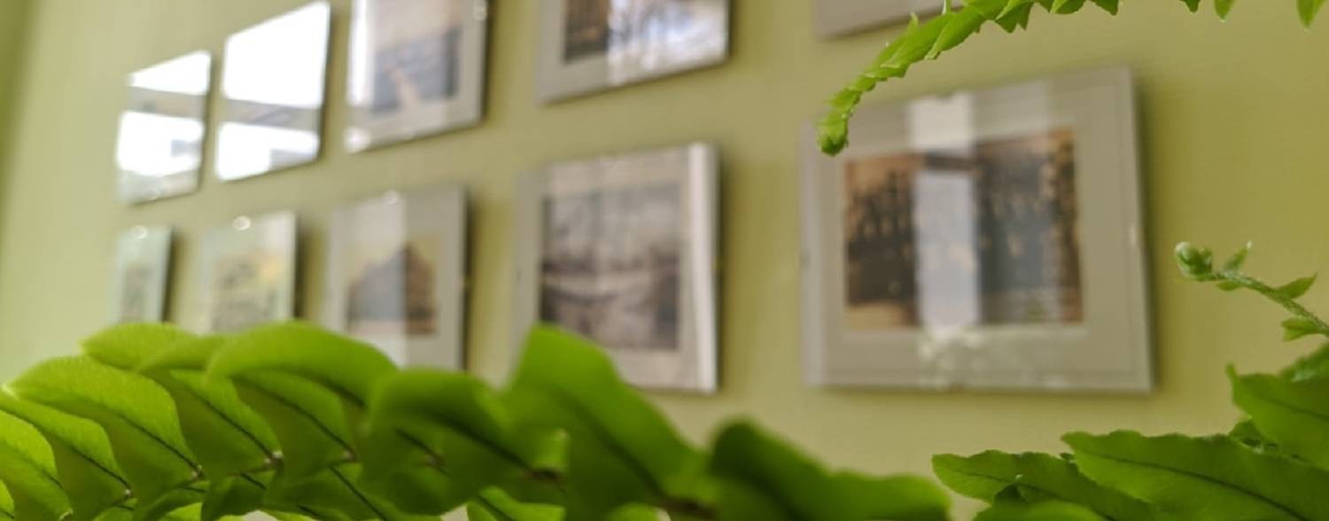 Центр русского языка и культуры им. А. Ф. Лосева