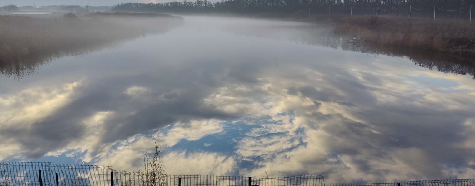 Russian bear 1008🐻