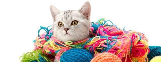 Вязание крючком. Амигуруми игрушки