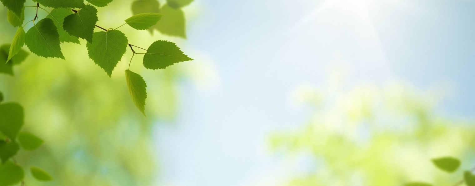 Детский сад "Берёзка"