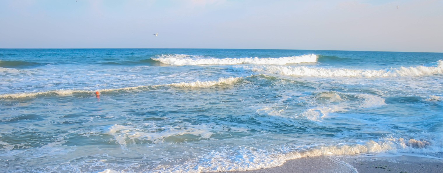 Кирилл Захаров