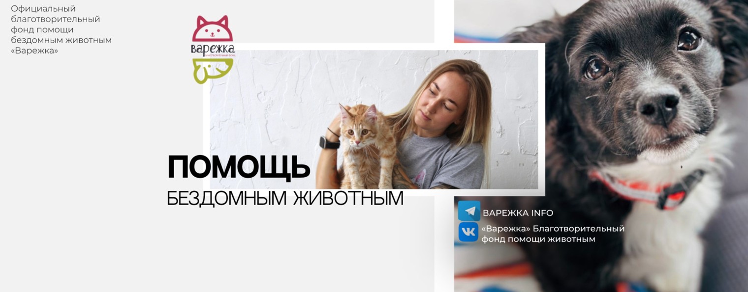 «Варежка» Благотворительный фонд помощи животным