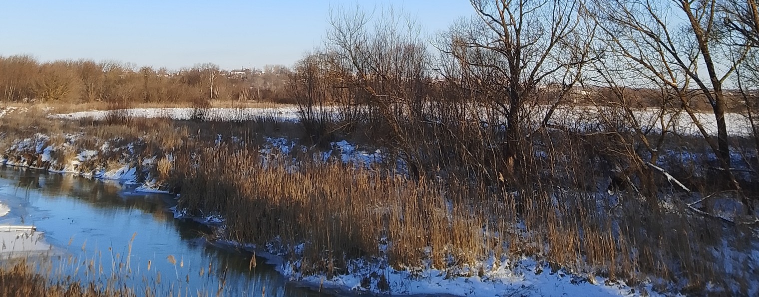 Константин 1973