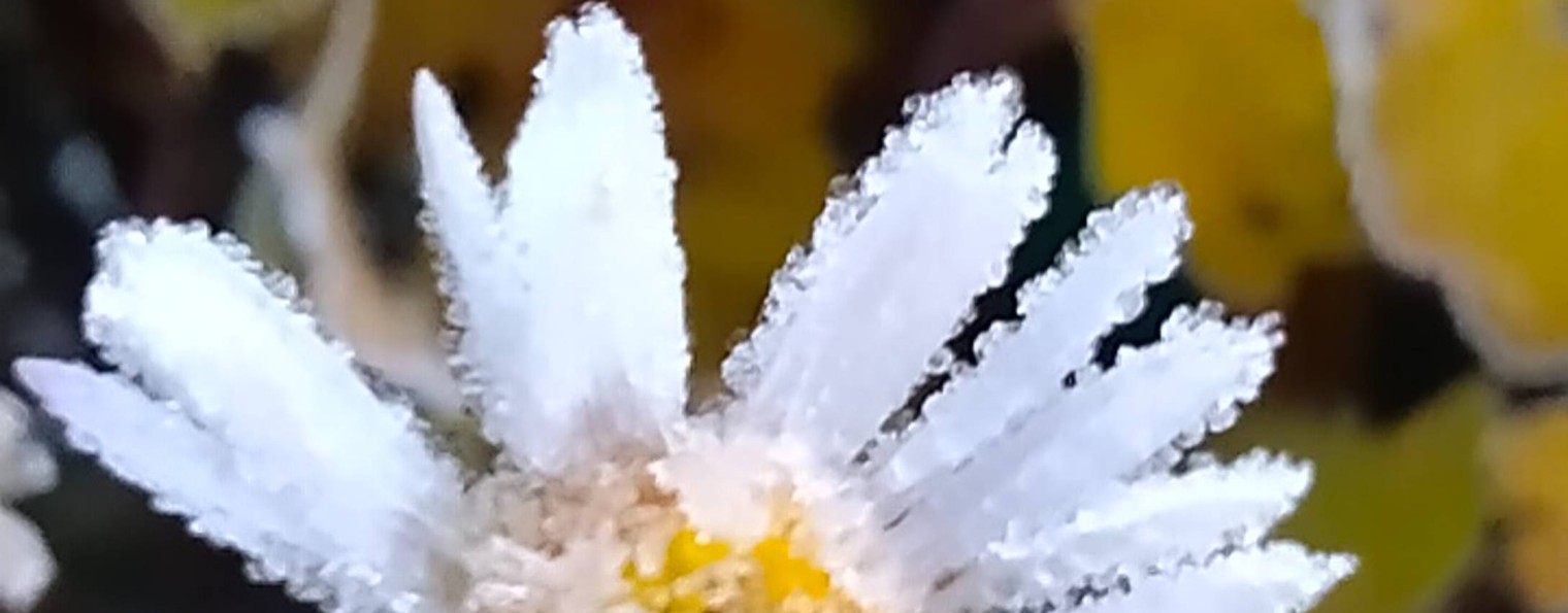 TatjanaProfevavospitatel