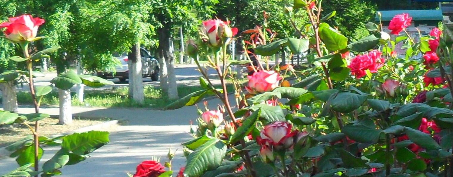 📚 Стишата для малышей 😊💮🌼🌸