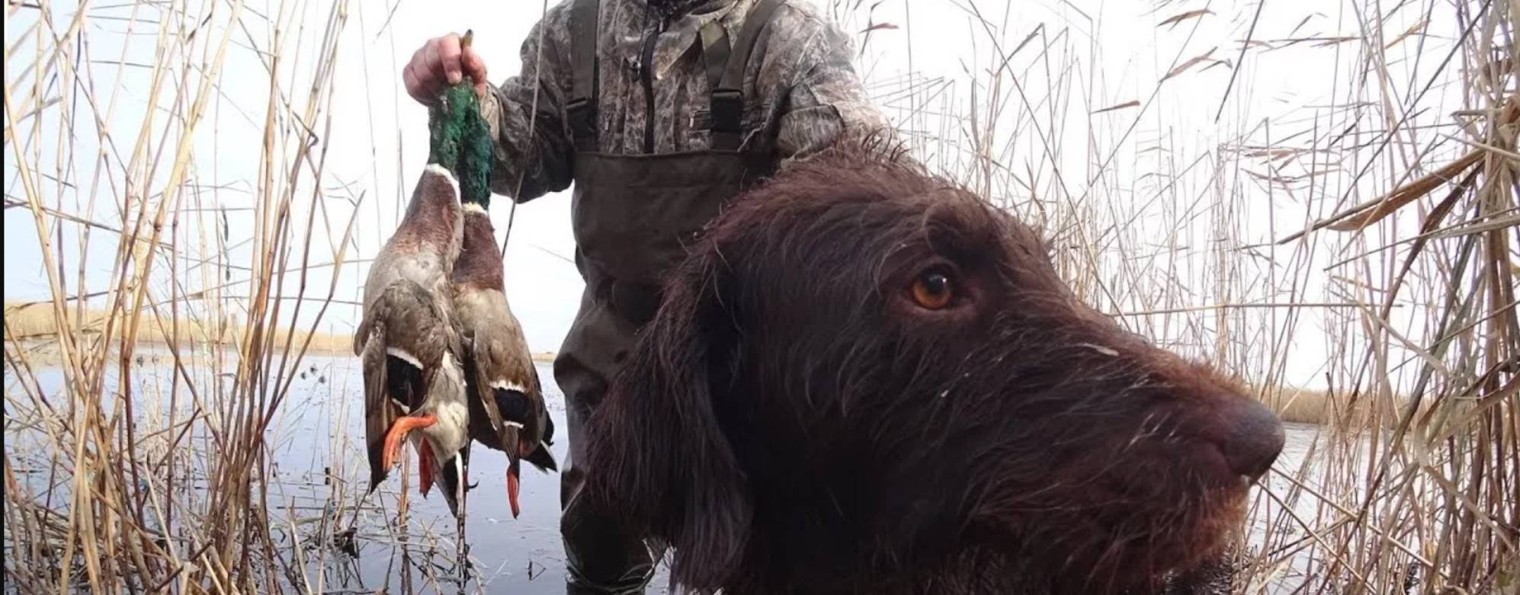 @Олег54изСибири