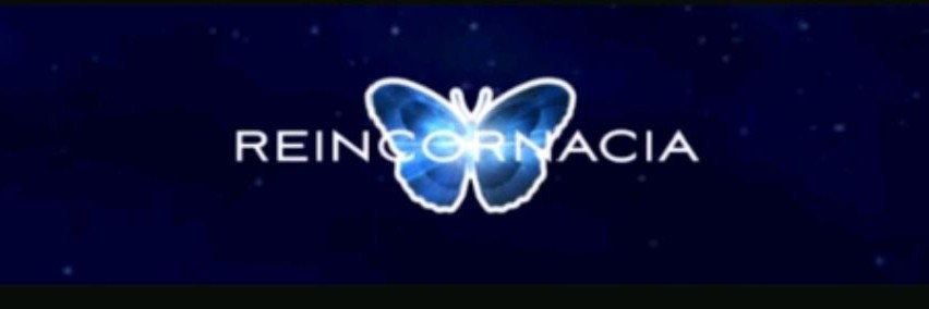 rein.cornacia