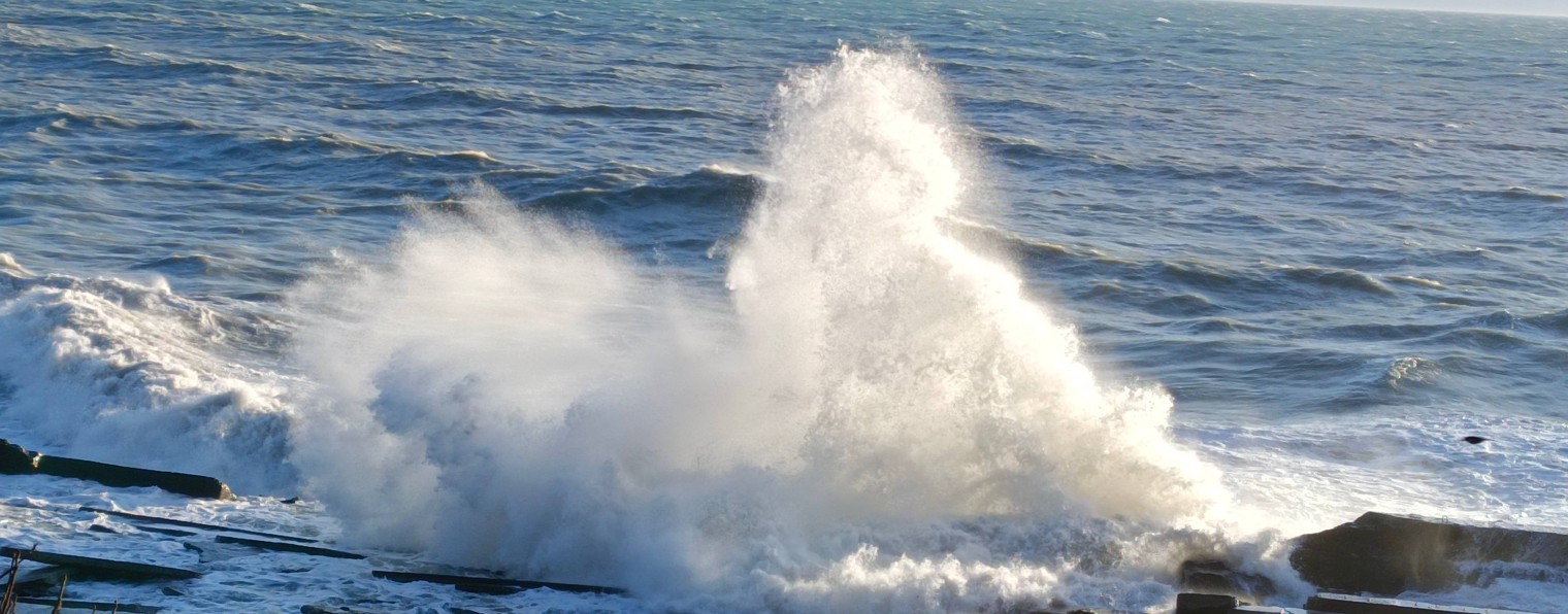 Охотник за картинками