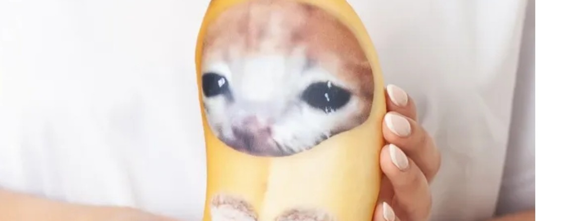 Про илья