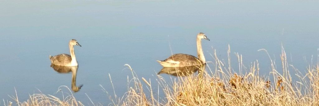 Рыбак с Ика