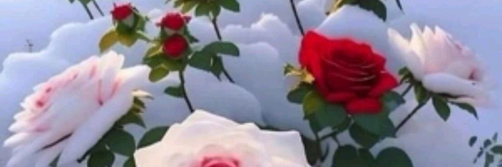 Жить свою жизнь.