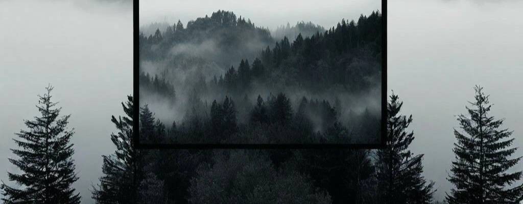 Аудио книги и другое