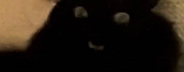 Берлога Саймона