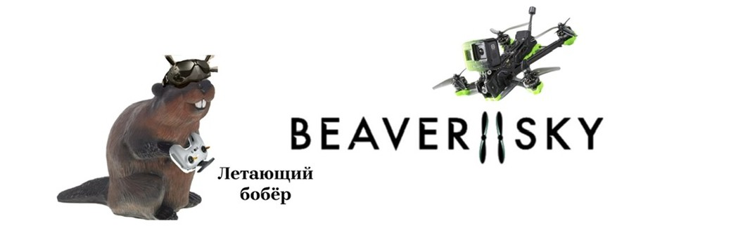 BEAVER SKY летающий бобёр
