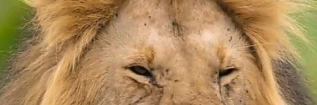 Давай Делать