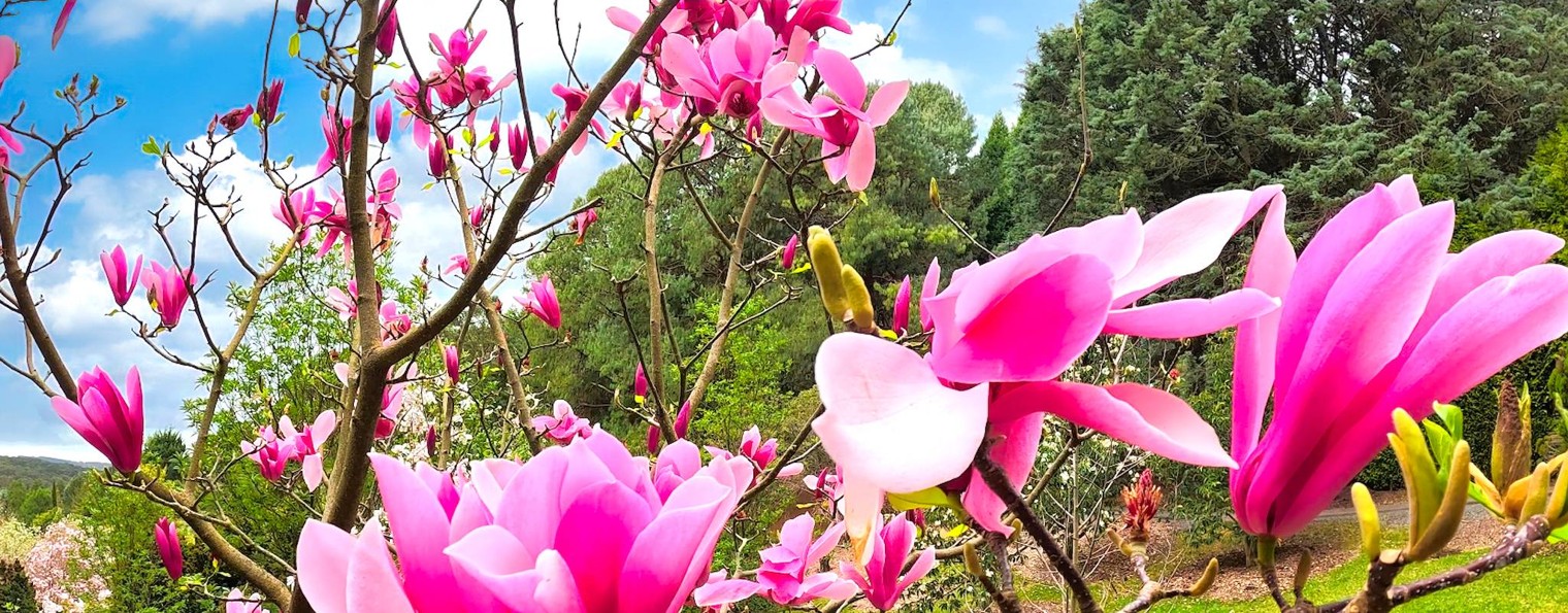 РУТУБ КАНАЛ О ПРИРОДЕ